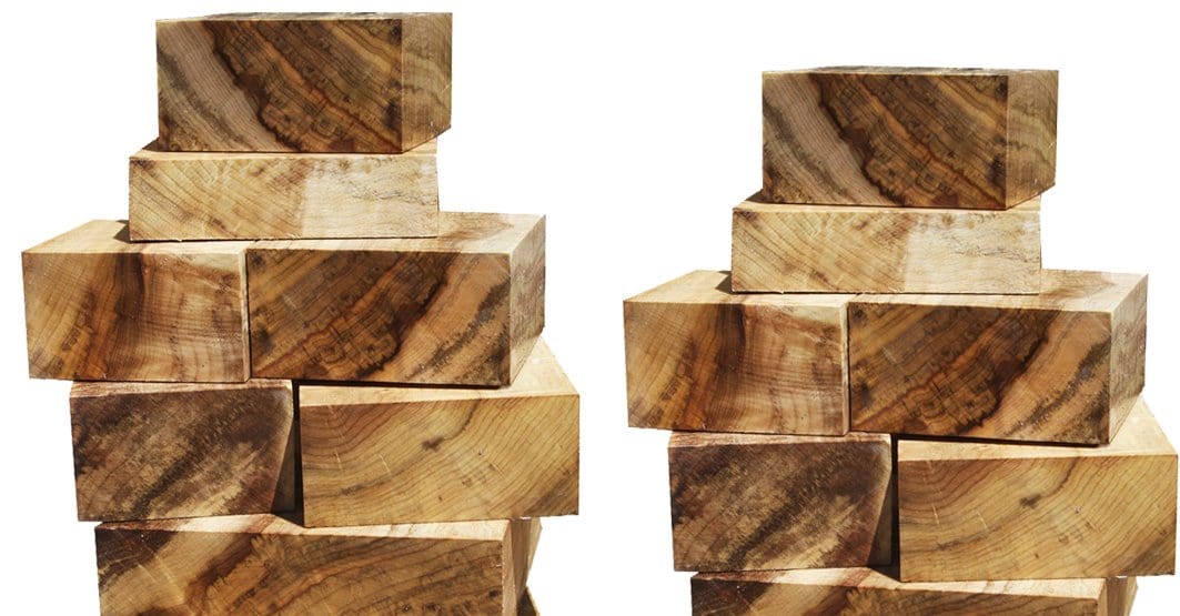 Myrtle – Cook Woods