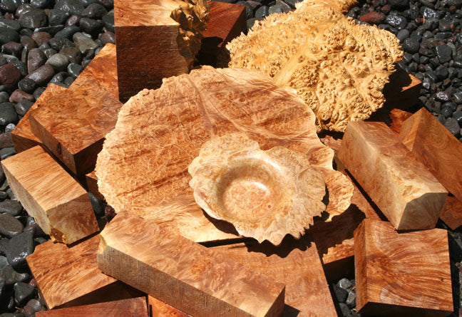 XF Maple Burl – Cook Woods