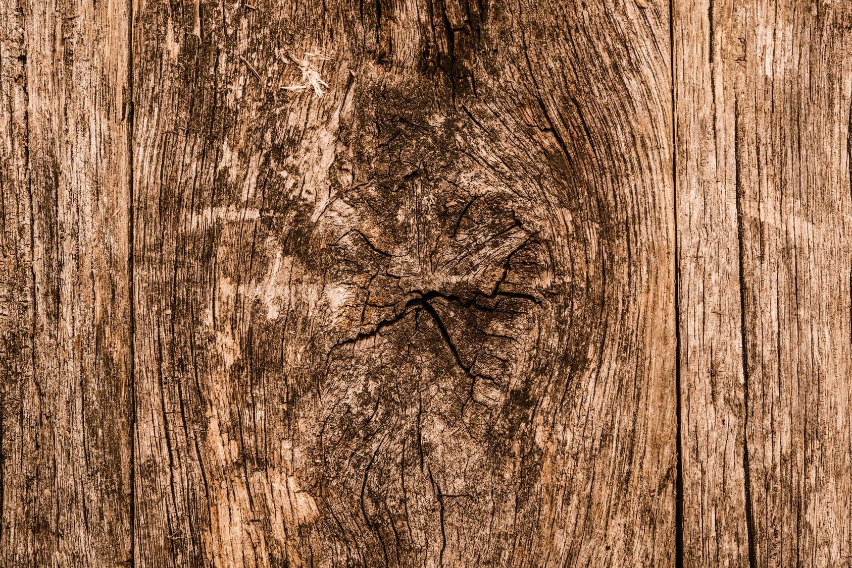 Defects in Wood and How to Work with Them – Cook Woods