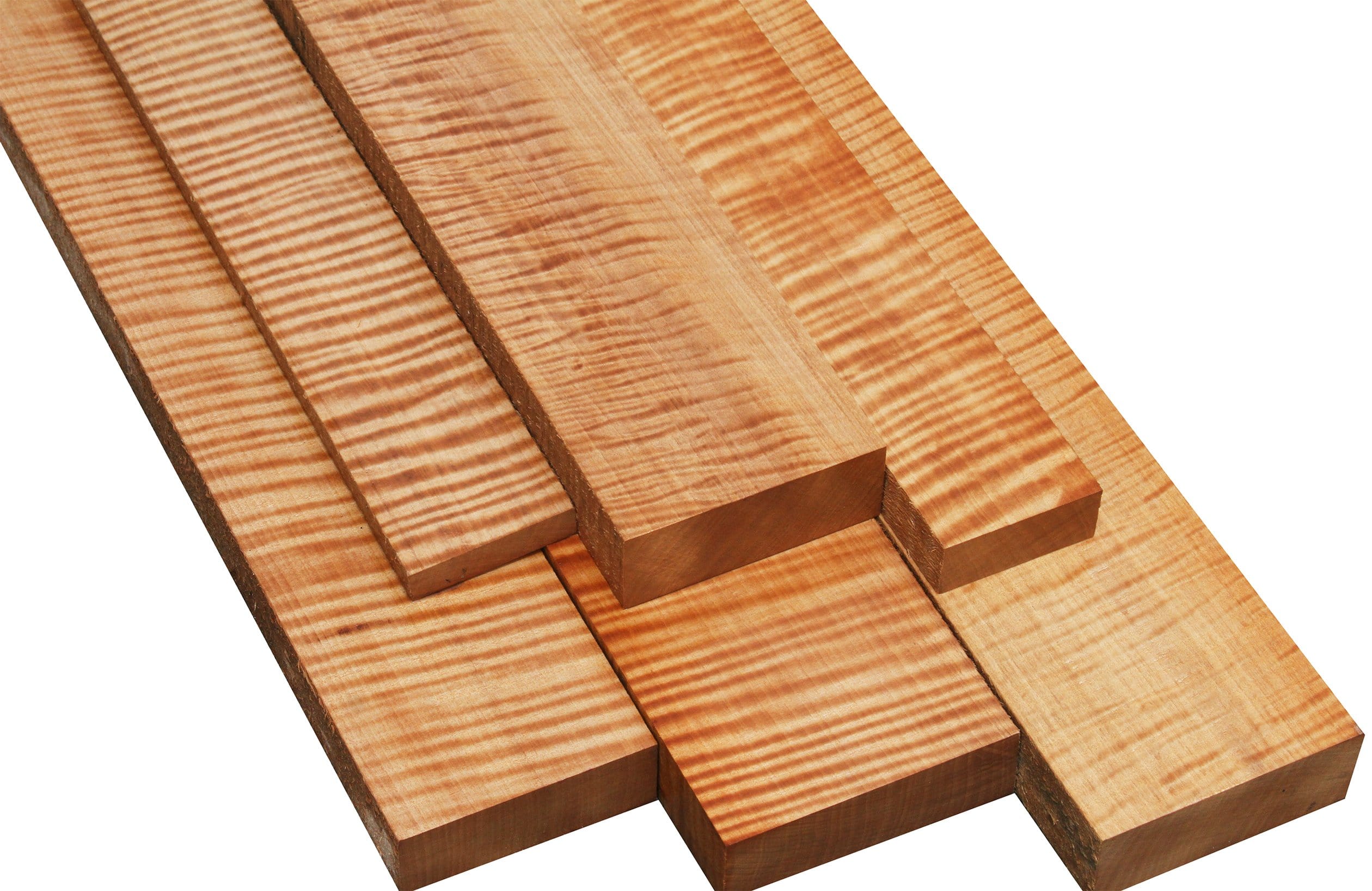 Aniegre – Cook Woods