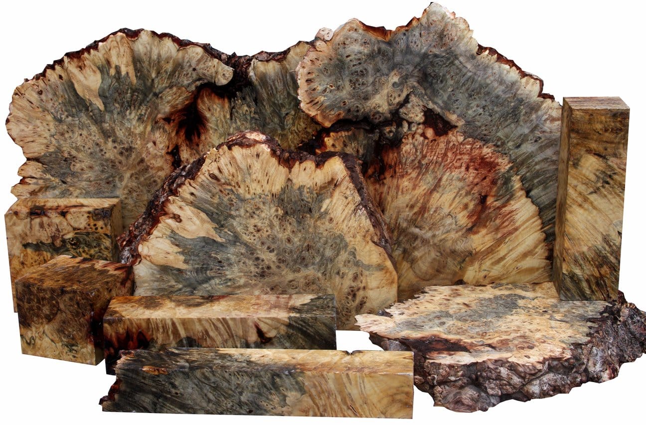 Buckeye Burl - It's Back! – Cook Woods