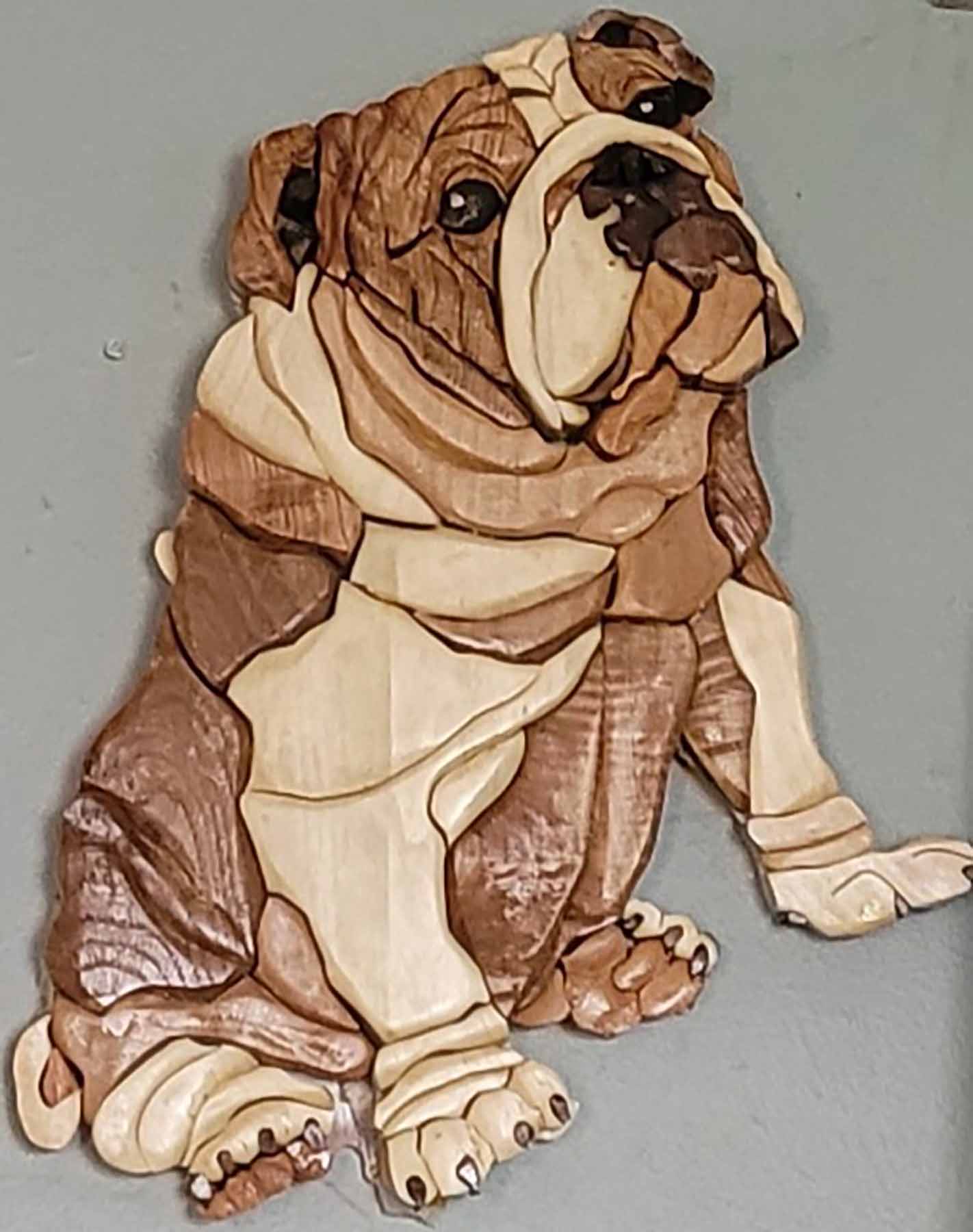 English Bulldog in Aspen, Red Oak, Maple, Walnut, Elm – Cook Woods