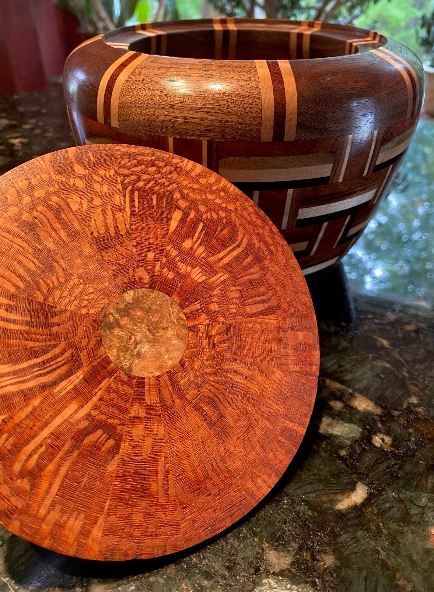 Segmented Vessel – Cook Woods
