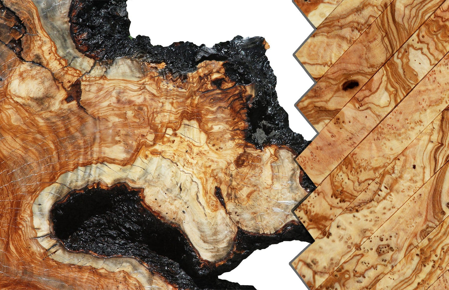Olive Burl – Cook Woods