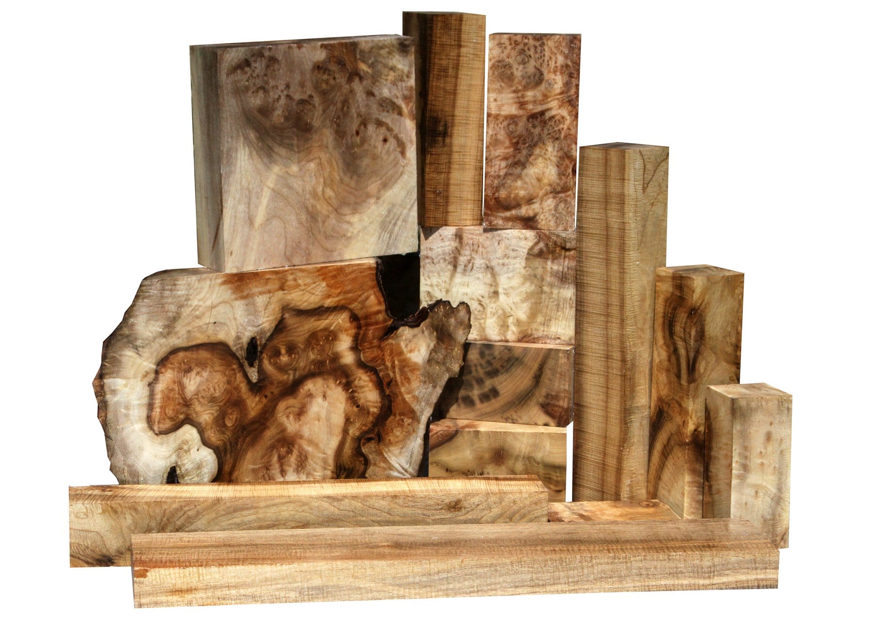 Myrtle – Cook Woods