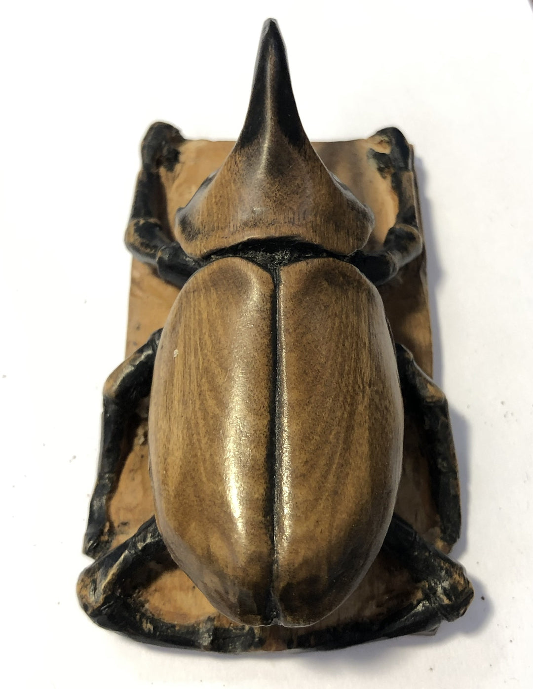 Rhinoceros Beetle Carving in Boxwood – Cook Woods