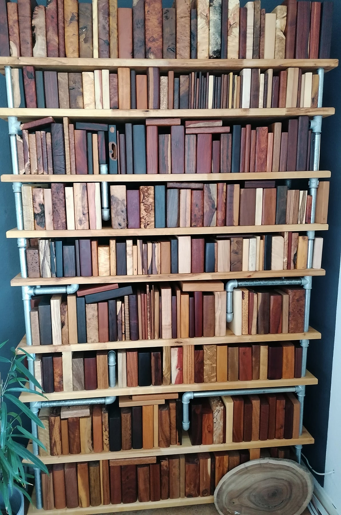 Wood Collection – Cook Woods