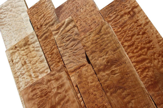 Maple – Cook Woods