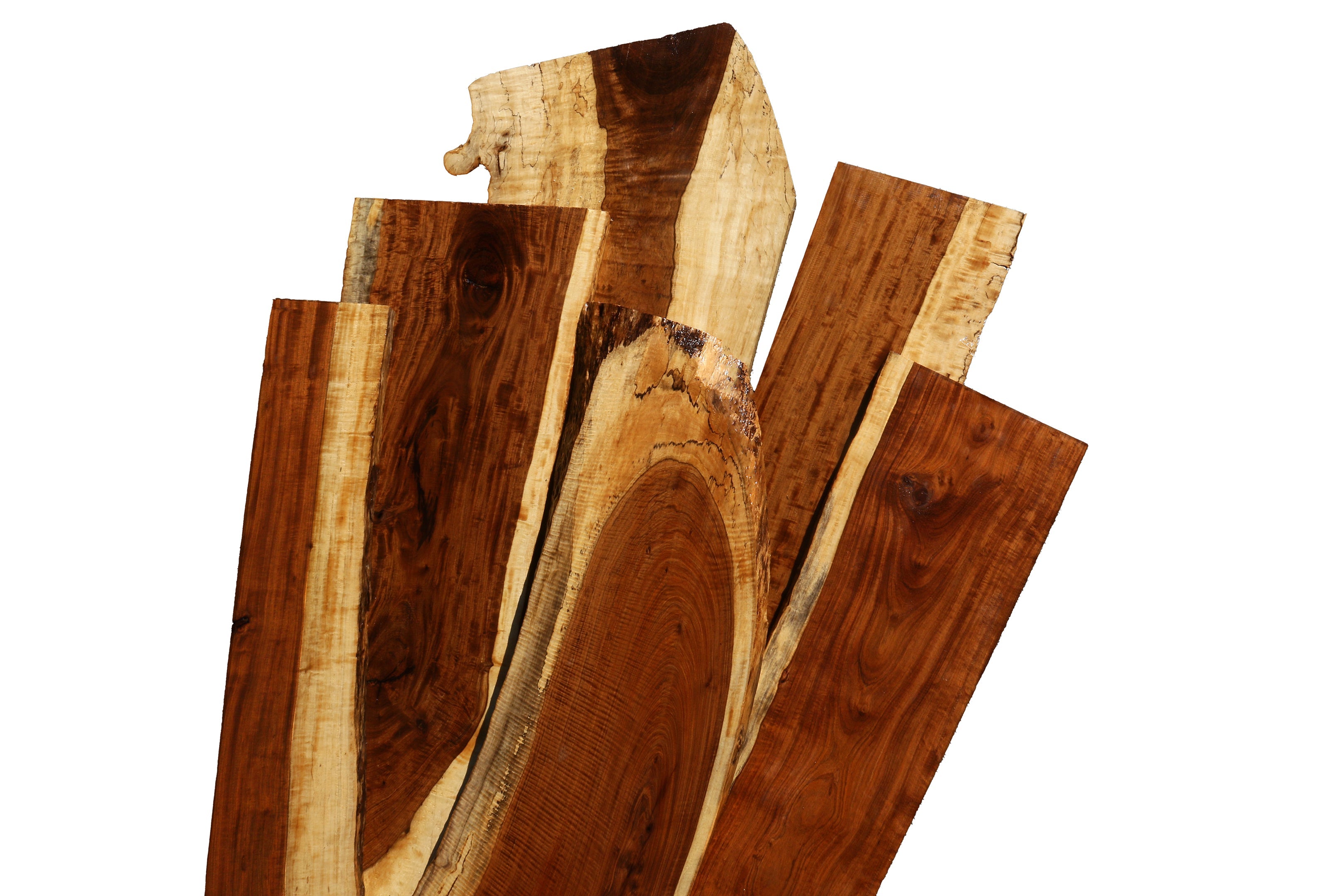 Tamboti – Cook Woods