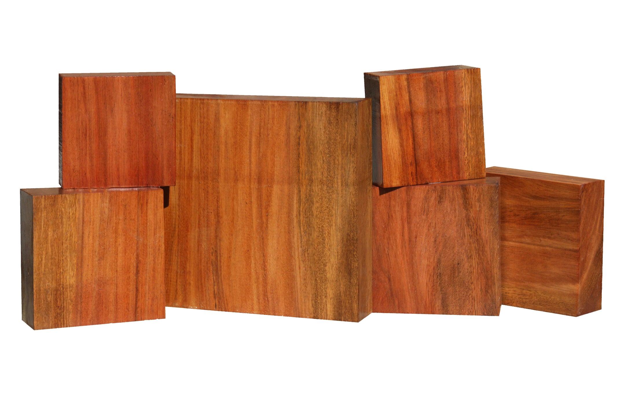 Brasiletta – Cook Woods