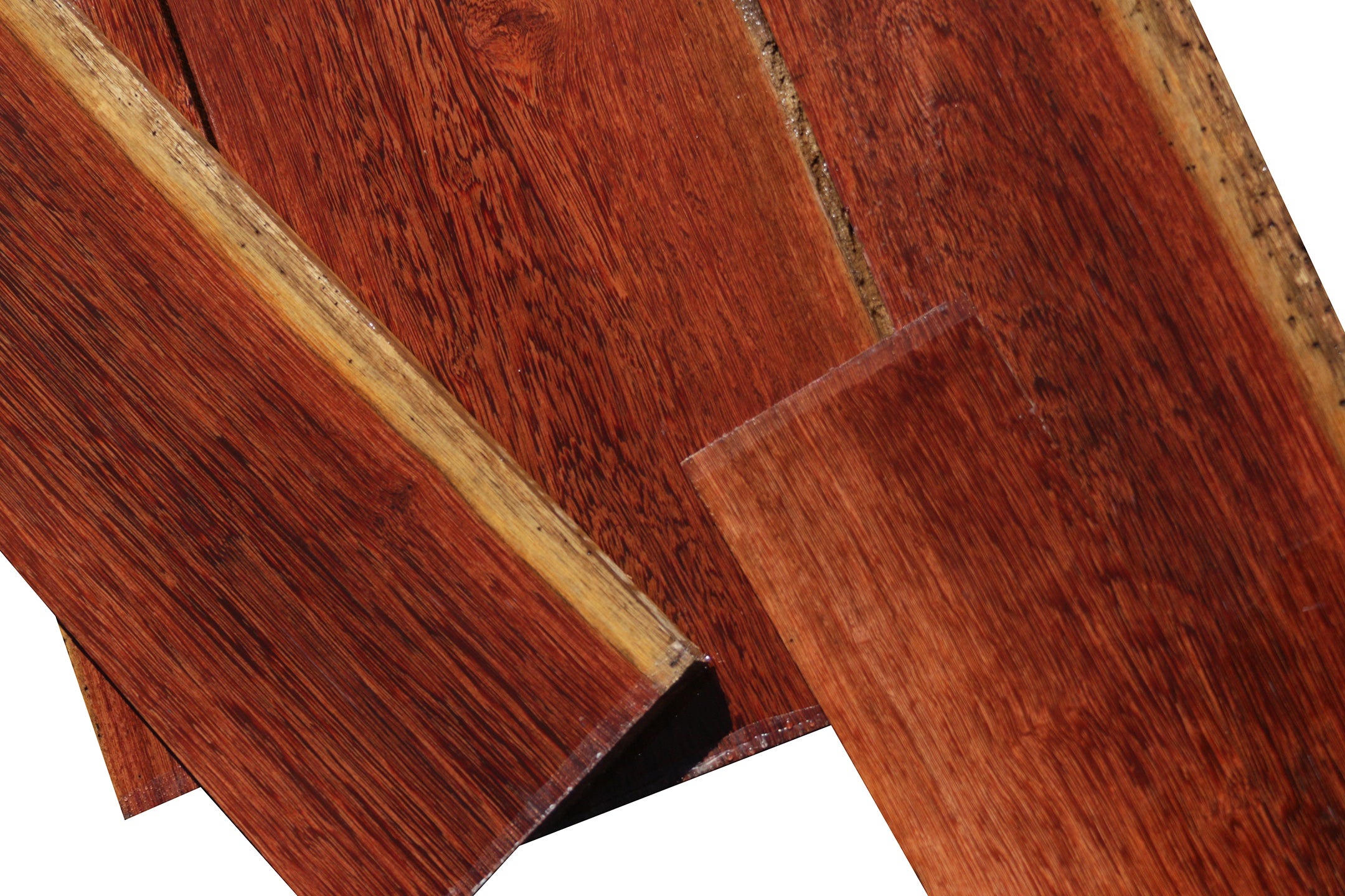 Partridgewood – Cook Woods