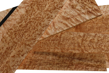Maple, Eastern Hard – Cook Woods