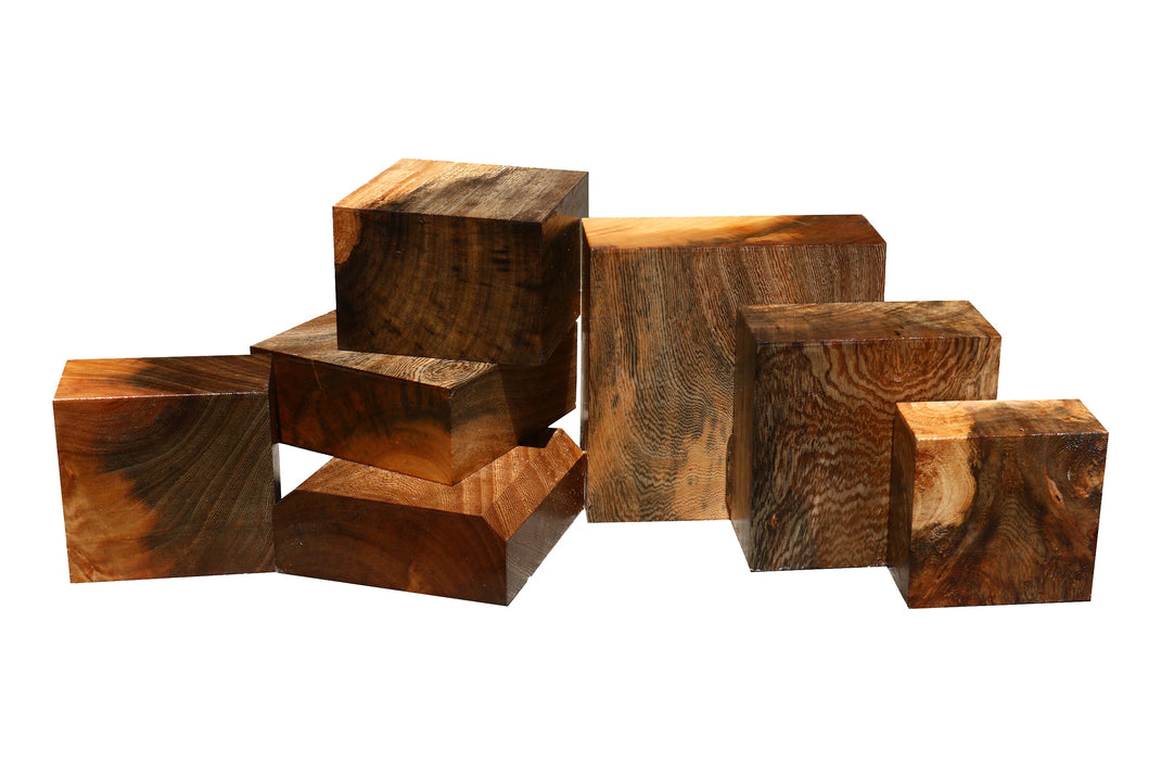 Ficus – Cook Woods