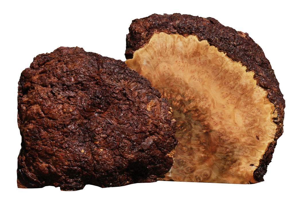 Kanista – Cook Woods