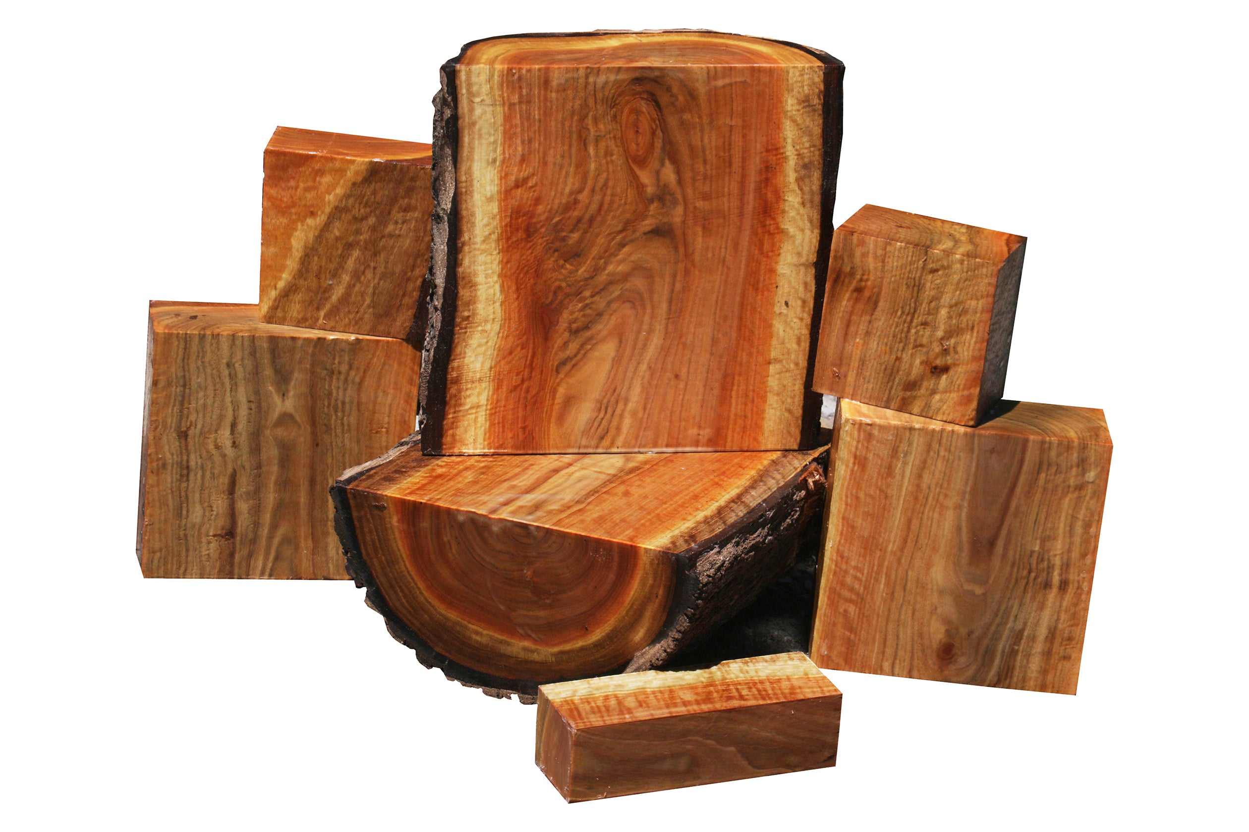 Wilga – Cook Woods