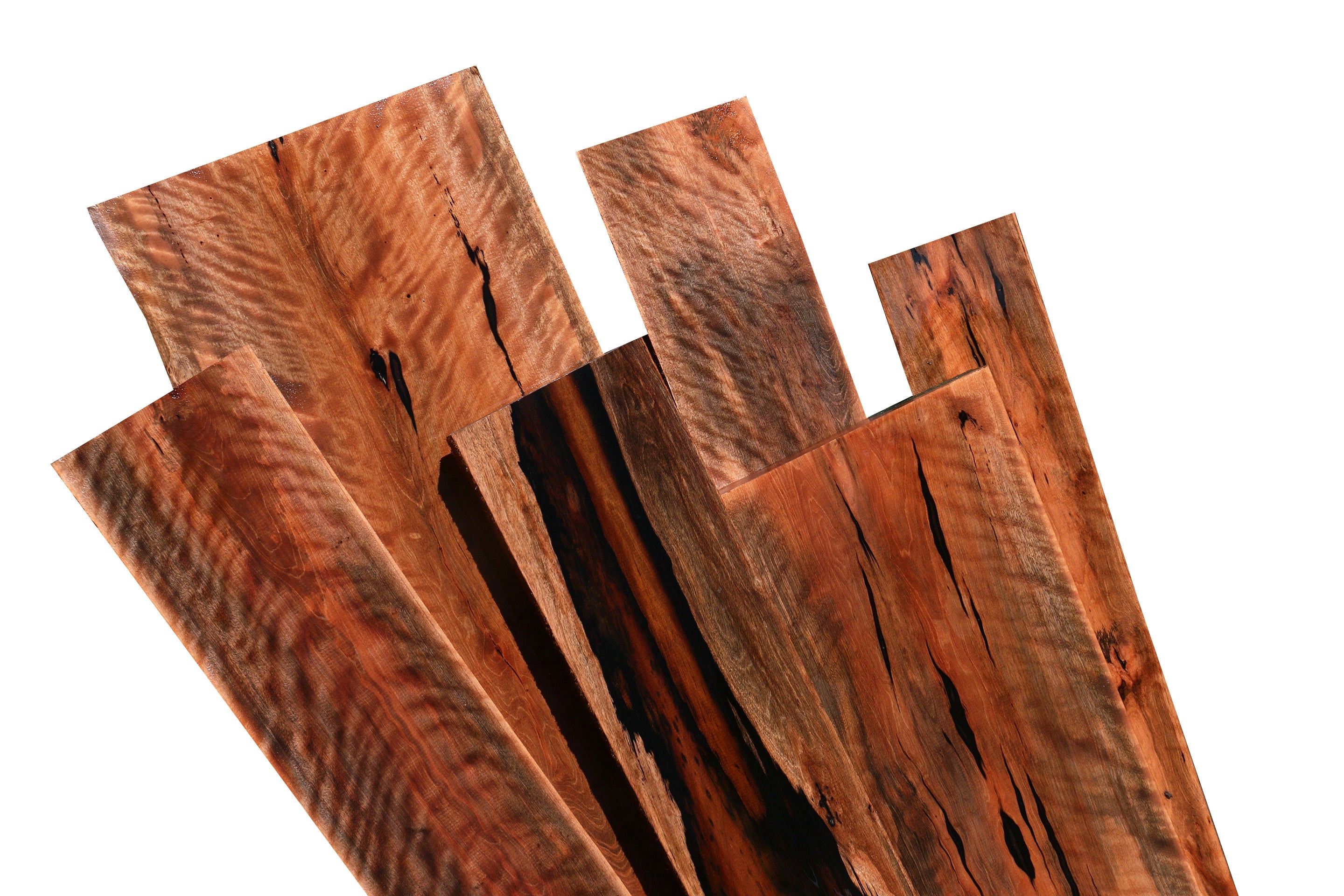 Ebony, Jackalberry – Cook Woods