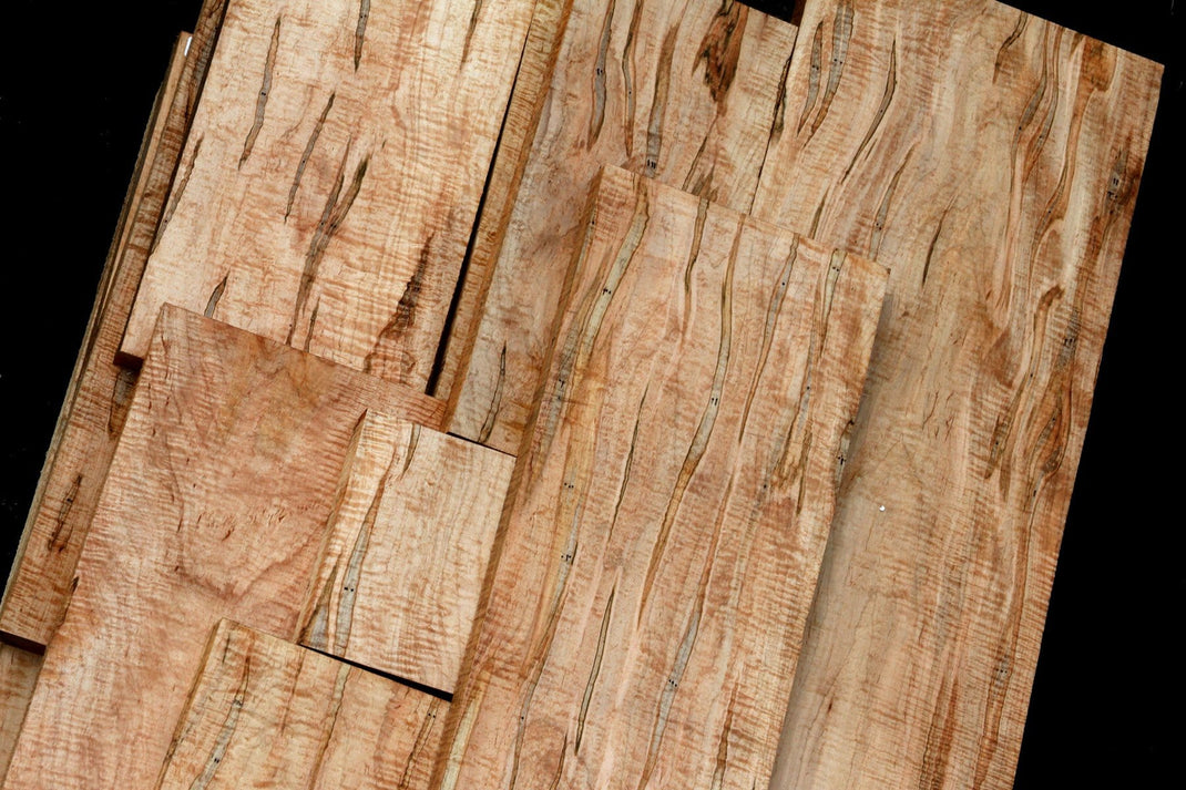 Maple, Red – Cook Woods