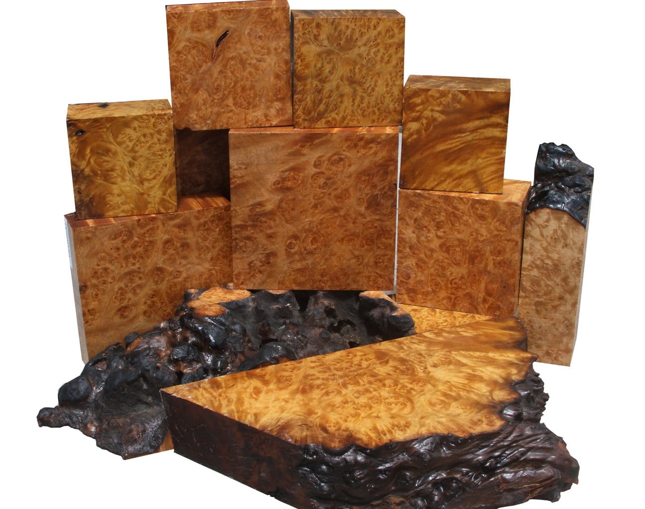 Asian Crepe Myrtle – Cook Woods