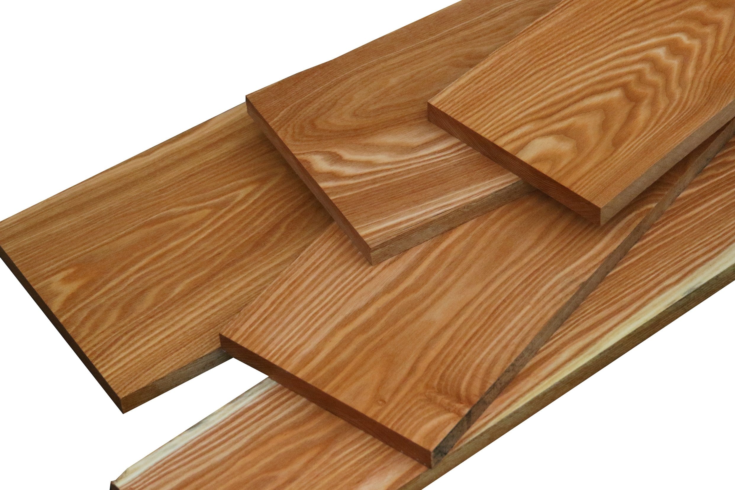 Chestnut – Cook Woods