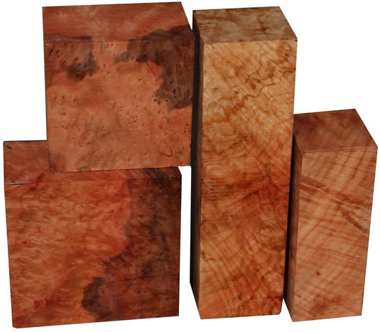 Madrone – Cook Woods