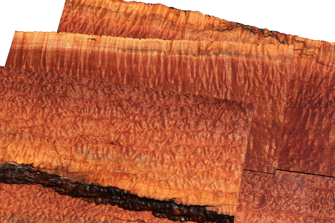 Sapele – Cook Woods