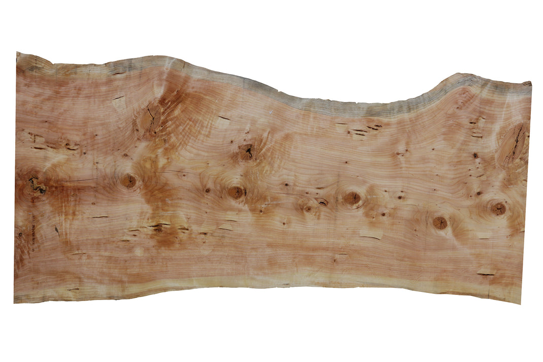 Sitka Spruce – Cook Woods