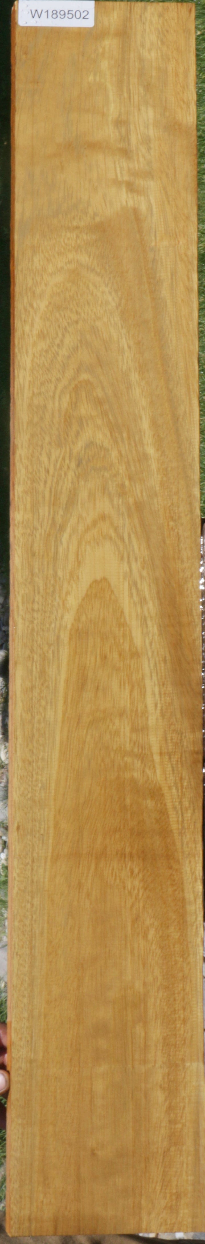 Teak, African – Cook Woods