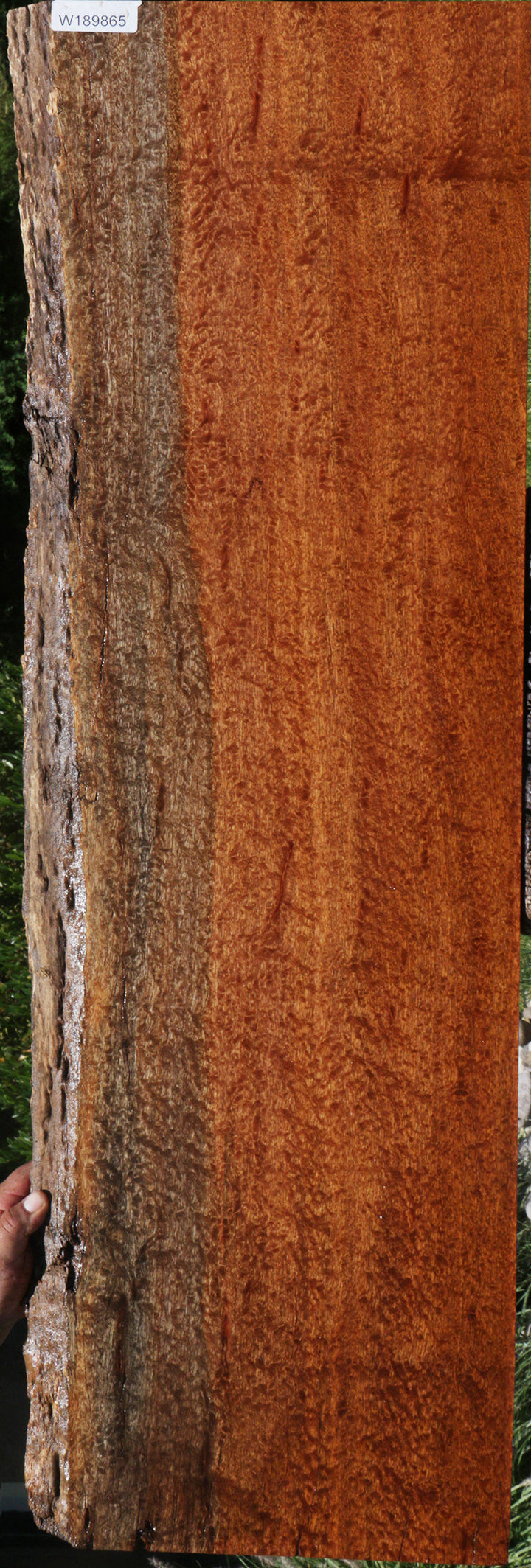 Sapele – Cook Woods