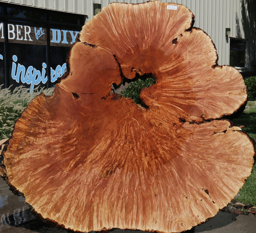 Cookies & Burl Slices – Cook Woods