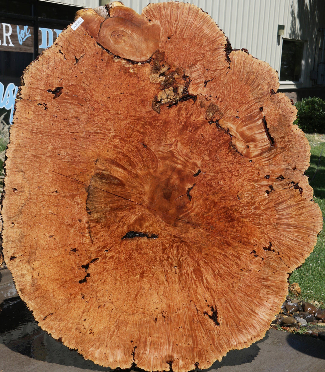 Cookies & Burl Slices – Cook Woods