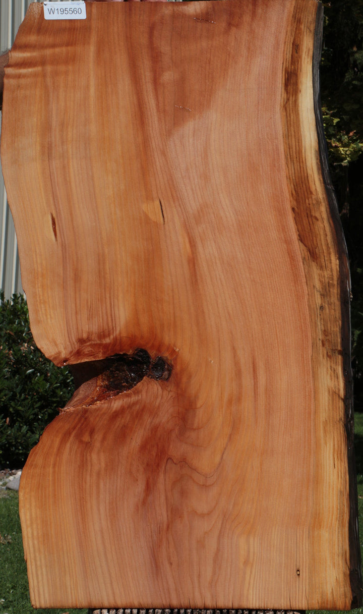 Sitka Spruce – Cook Woods