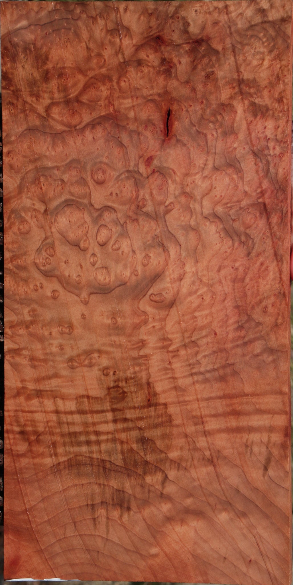 Madrone Burl Lumber – Cook Woods