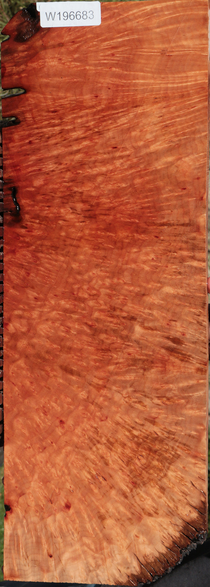 Madrone Burl Lumber – Cook Woods