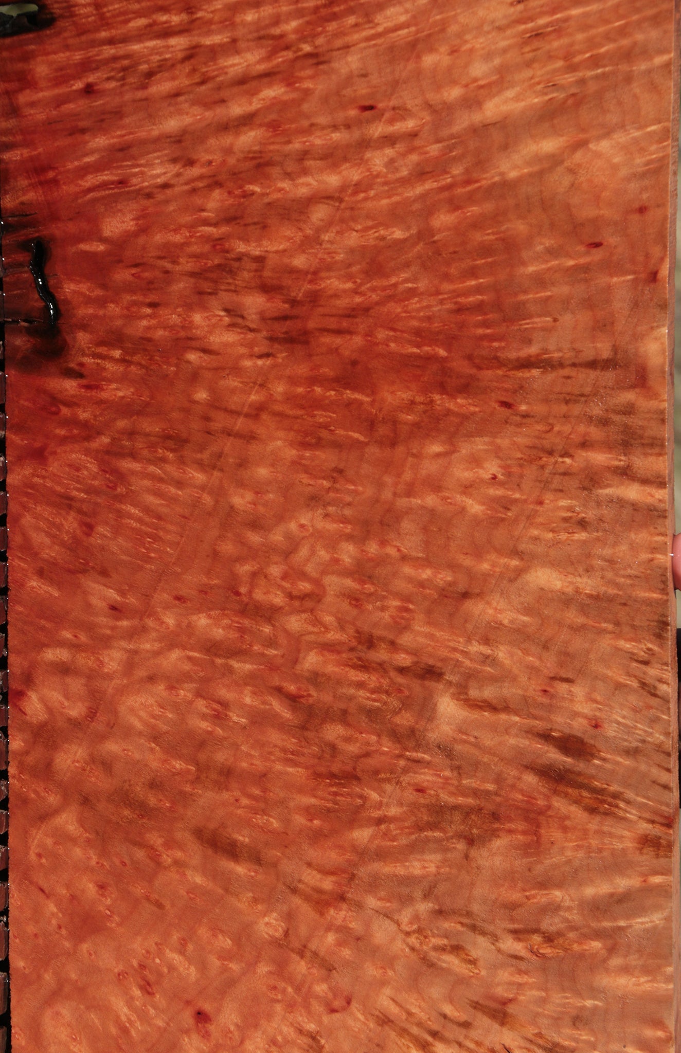 Madrone Burl Lumber – Cook Woods