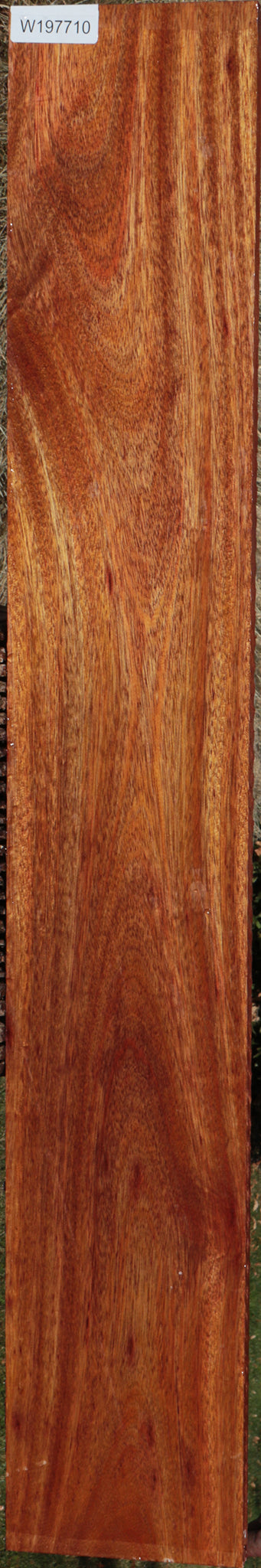 Bloodwood Lumber – Cook Woods