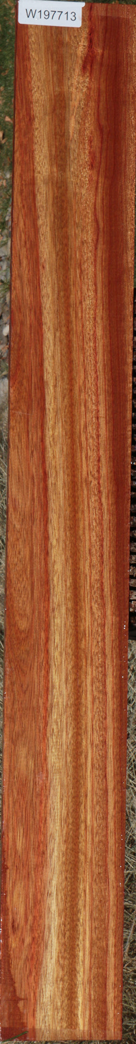 Bloodwood – Page 4 – Cook Woods