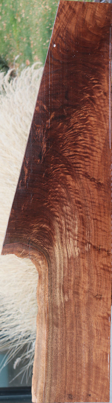 Walnut, Claro – Cook Woods