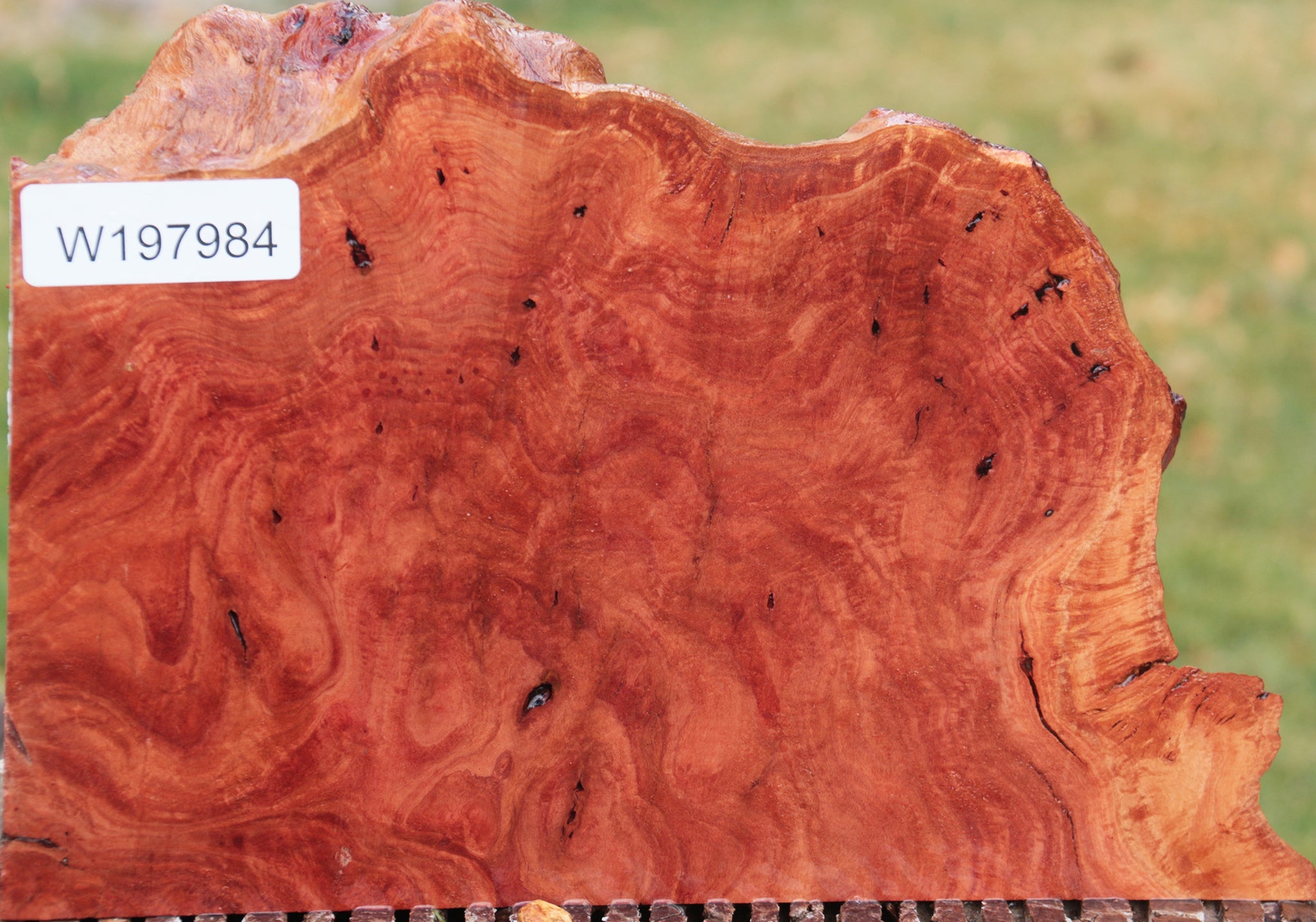 Red River Gum Burl Live Edge Lumber – Cook Woods