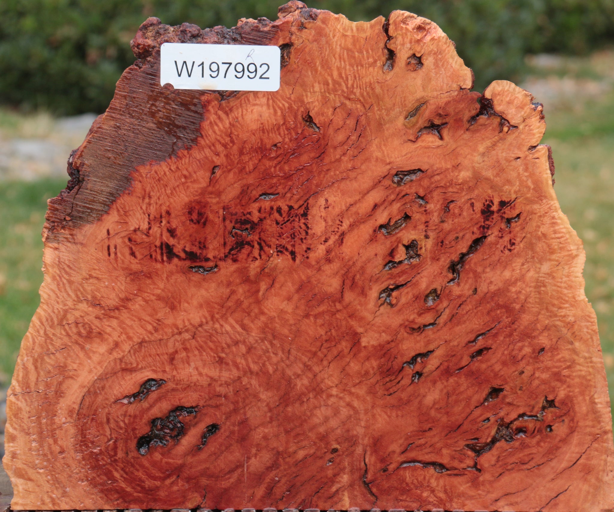 Cookies & Burl Slices – Cook Woods