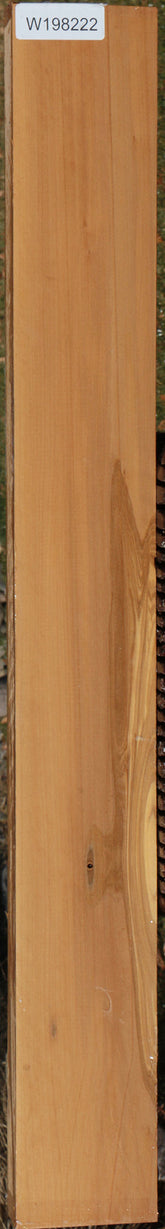 Boxwood, Castello – Cook Woods