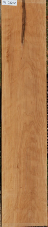 Boxwood, Castello – Cook Woods