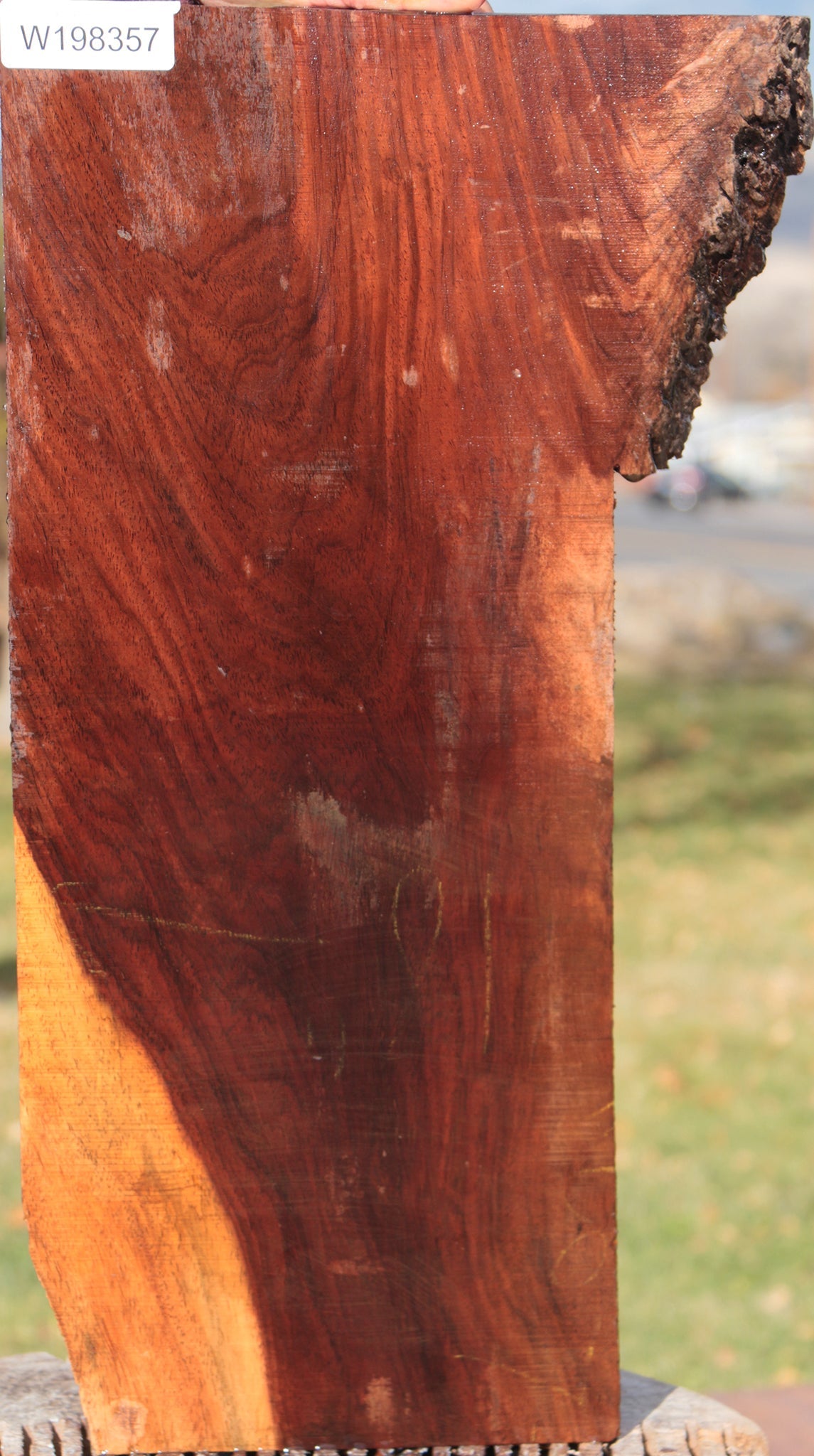 Cocobolo – Cook Woods