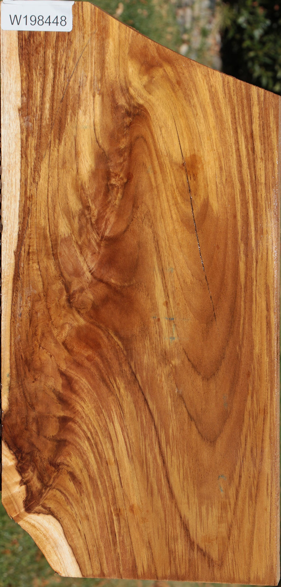 Teak – Cook Woods
