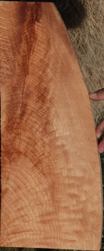 Instrument Wood – Cook Woods