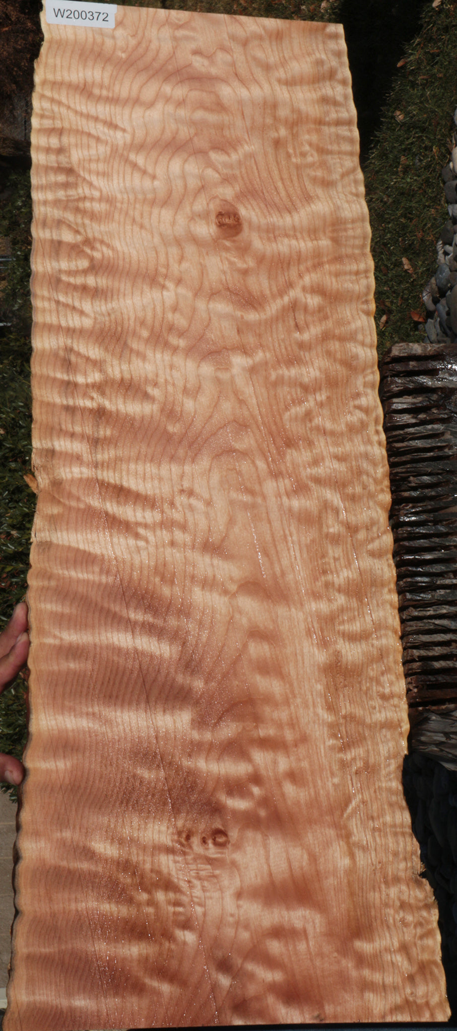 Quilted Maple Live Edge Instrument Lumber – Cook Woods