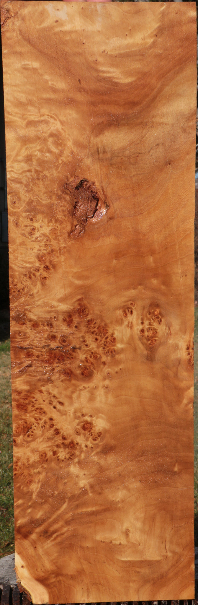 California Cottonwood Burl Lumber – Cook Woods