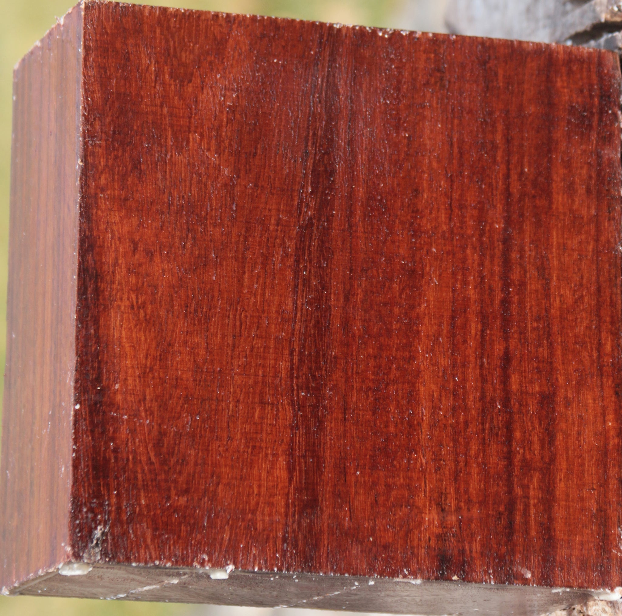 Granadillo Bowl Blank – Cook Woods