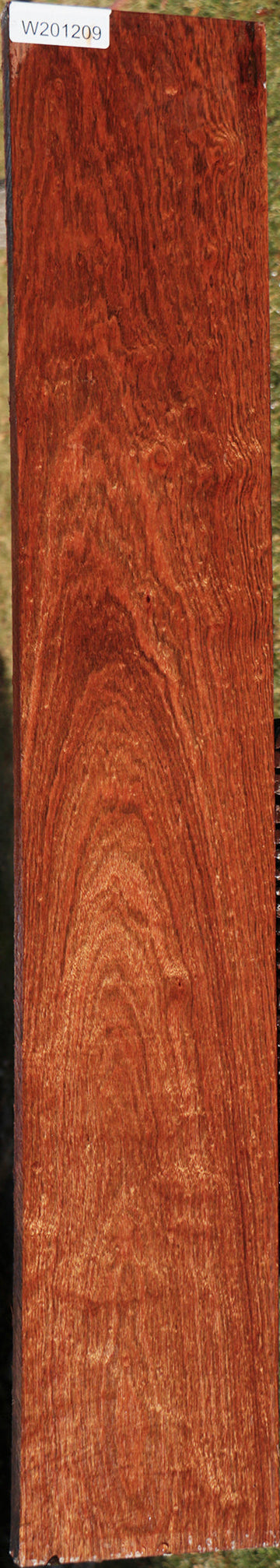 Chechen – Cook Woods