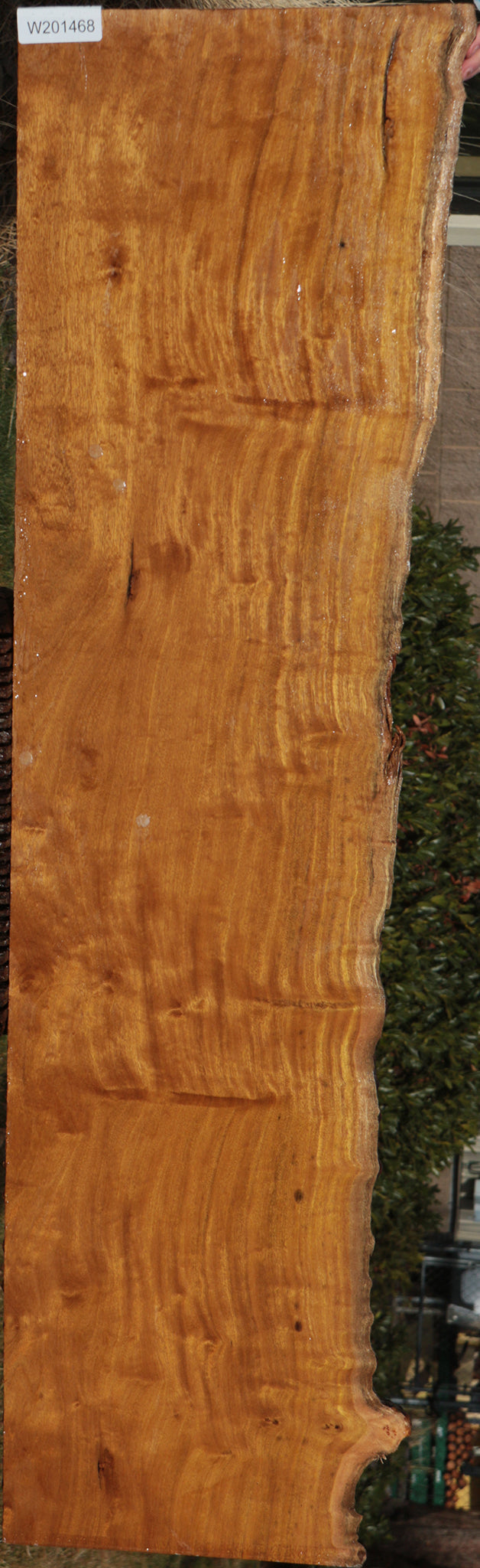 Itauba – Cook Woods