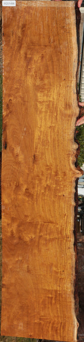 Itauba – Cook Woods